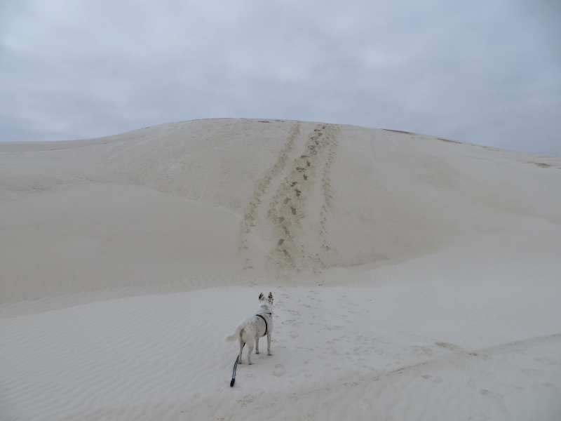 Wandering in White Sands National Monument | Gentle Art of Wandering